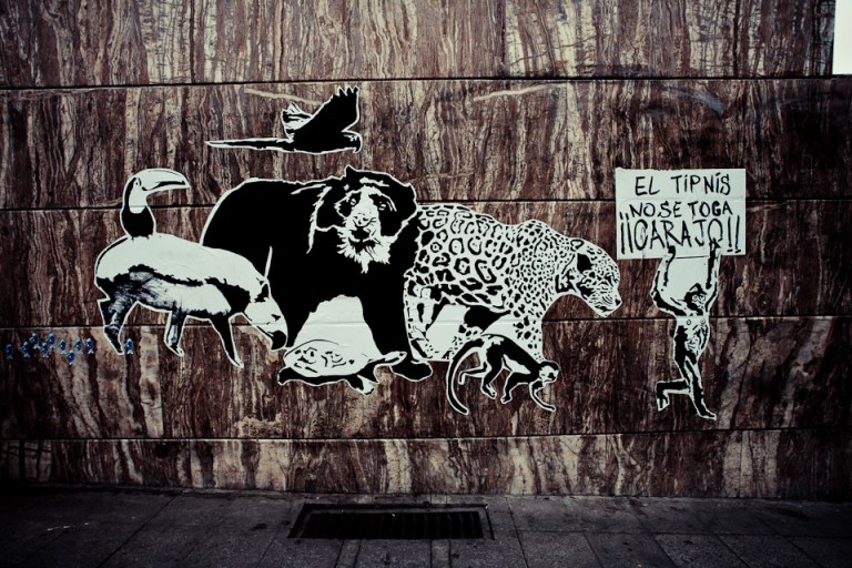 What is the ALBA? | ALBA INFO